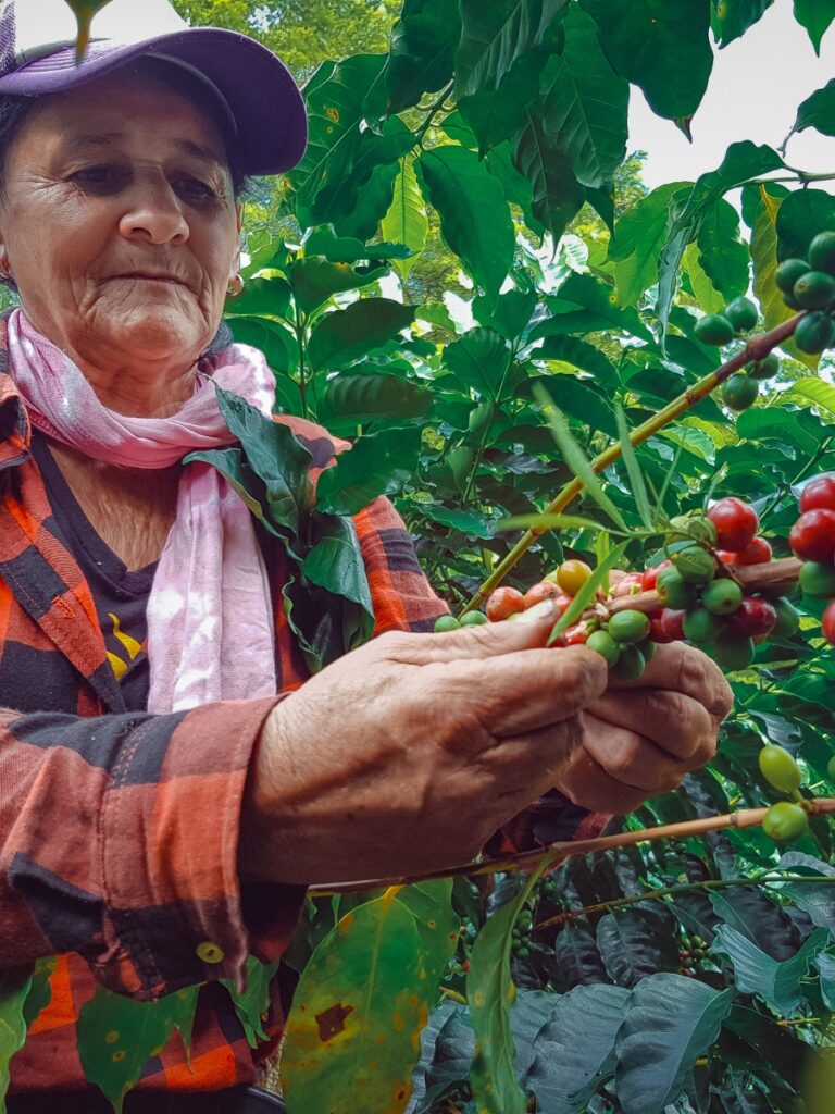 Women in Coffee: An Overlooked Legacy of Innovation and Influence ...